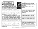 3rd Grade Reading Comprehension Worksheets | Third Grade Passages