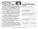 3rd Grade Reading Comprehension Worksheets | Third Grade Passages