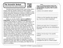 3rd Grade Reading Comprehension Worksheets | Third Grade Passages