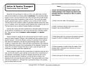 5th Grade Reading Comprehension Worksheets | Fifth Grade Passages