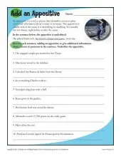 Appositive Worksheets