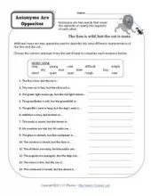 Antonyms Are Opposites | 4th Grade Antonym Worksheets