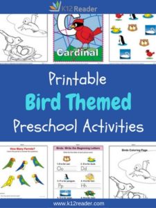 Birds Preschool Theme Activities | Printable Classroom Lessons