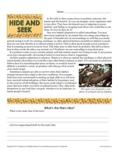 Sixth Grade Reading Comprehension Worksheet | Hide and Seek
