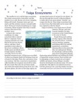 Sixth Grade Reading Comprehension Worksheet | Taiga Ecosystems