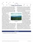 Sixth Grade Reading Comprehension Worksheet | Taiga Ecosystems