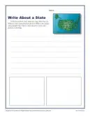 Write About a State | 1st and 2nd Grade Writing Prompt Worksheet