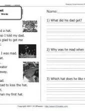 1st Grade Reading Comprehension Worksheets | FIrst Grade Passages