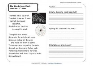 She Needs Less Shell | 1st Grade Reading Comprehension Worksheet Wk 25
