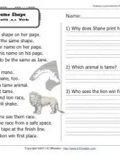 1st Grade Reading Comprehension Worksheets | FIrst Grade Passages