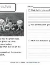 1st Grade Reading Comprehension Worksheets | FIrst Grade Passages