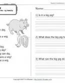 1st Grade Reading Comprehension Worksheets | FIrst Grade Passages