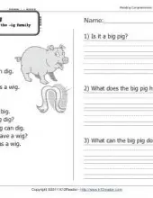 1st Grade Reading Comprehension Worksheets | FIrst Grade Passages