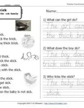 1st Grade Reading Comprehension Worksheets | FIrst Grade Passages