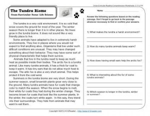 The Tundra Biome | 3rd Grade Reading Comprehension Worksheet