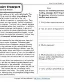 5th Grade Reading Comprehension Worksheets | Fifth Grade Passages