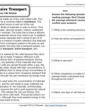 5th Grade Reading Comprehension Worksheets | Fifth Grade Passages