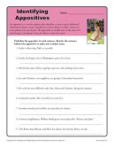 Identify the Appositives | Printable Appositive Worksheets
