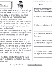 Reading Worksheets, Spelling, Grammar, Comprehension, Lesson Plans