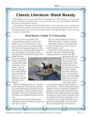 Reading Comprehension Worksheet Set for Black Beauty