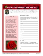 Valentine's Day Worksheet | Robert Burns: A Red, Red Rose
