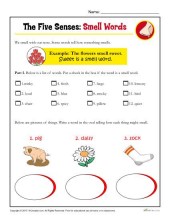 The Five Senses Worksheets | Printable ELA Activities