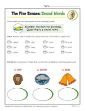 The Five Senses Worksheets | Printable ELA Activities