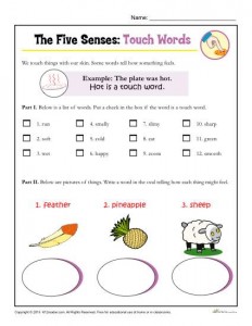 The Five Senses Worksheets | Printable ELA Activities